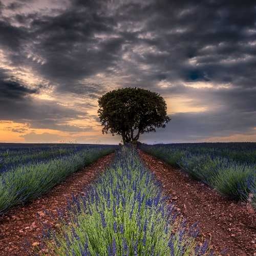 Chayan Halder - ACS Doubts