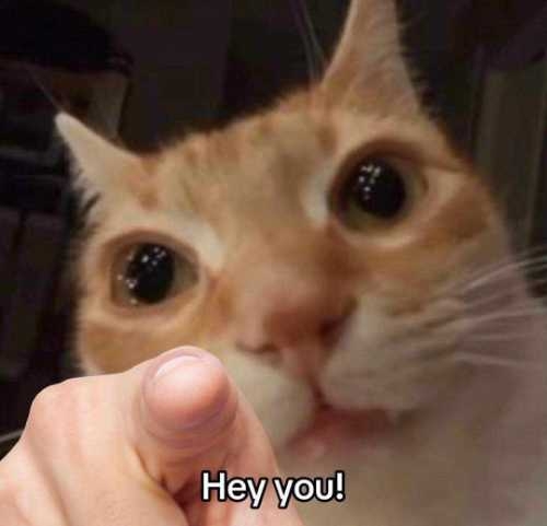 Sn Riyad - ACS Doubts