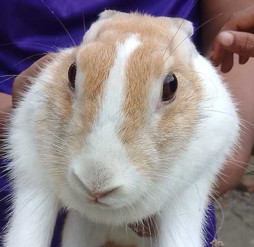 Md Ashik Rana Mridha - ACS Doubts